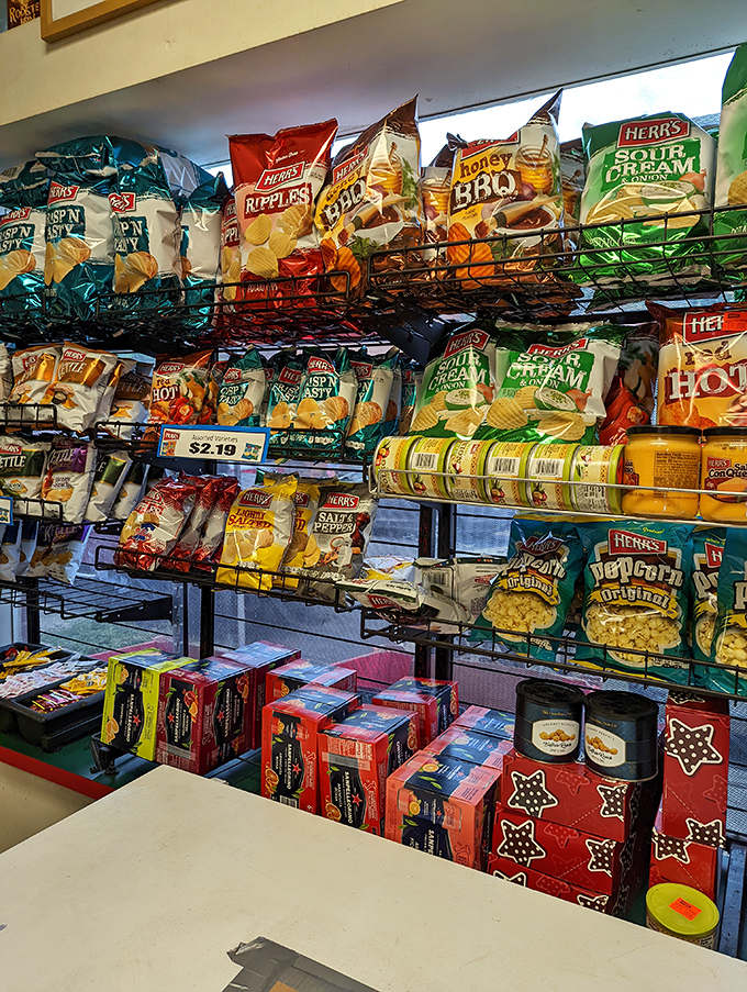A chip selection that rivals the Louvre in variety and importance. Choose wisely—your sandwich's perfect companion awaits.