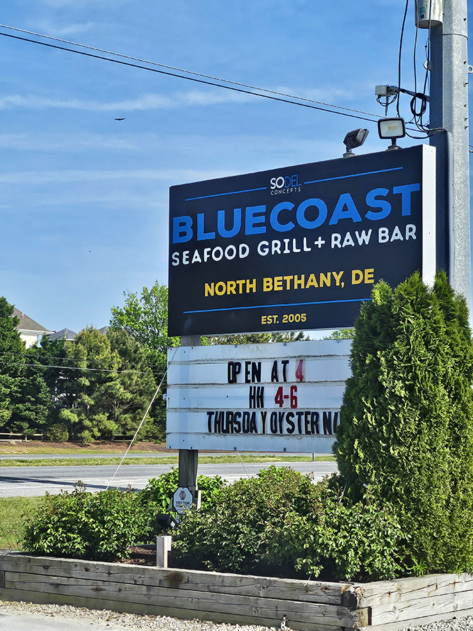 A sign that promises exactly what it delivers – no false advertising, just honest coastal cooking.