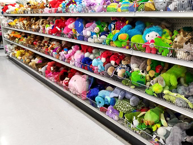 Stuffed animal adoption center where plush pals patiently wait for new homes. No feeding required, just occasional hugs.
