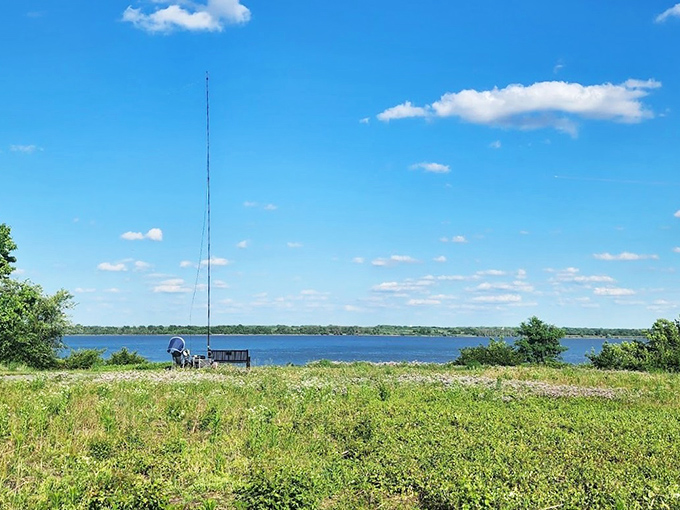Summer's perfect equation: blue sky + blue water + green grass = why Delaware residents cancel plans to "just sit here for five more minutes."