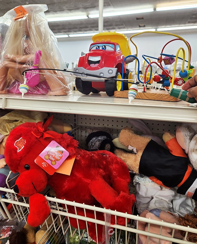 Toys with previous lives ready for new adventures—that red teddy bear has hugs to give and that puzzle might still have all its pieces!