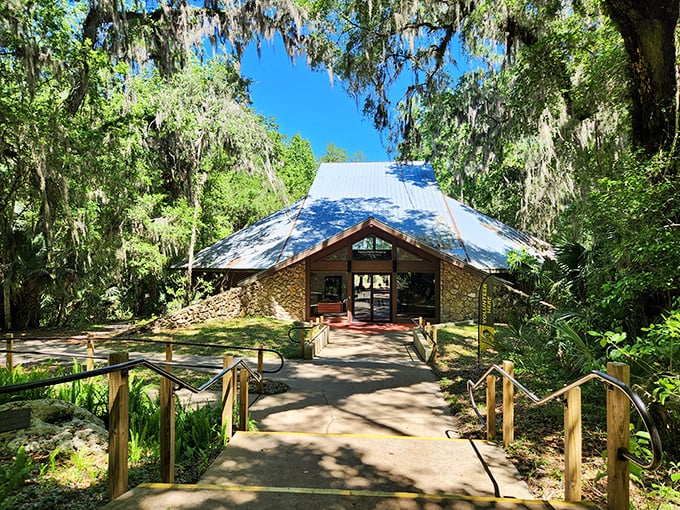 The visitor center emerges from the forest like a rustic cathedral, Spanish moss hanging like nature's own decorative bunting.