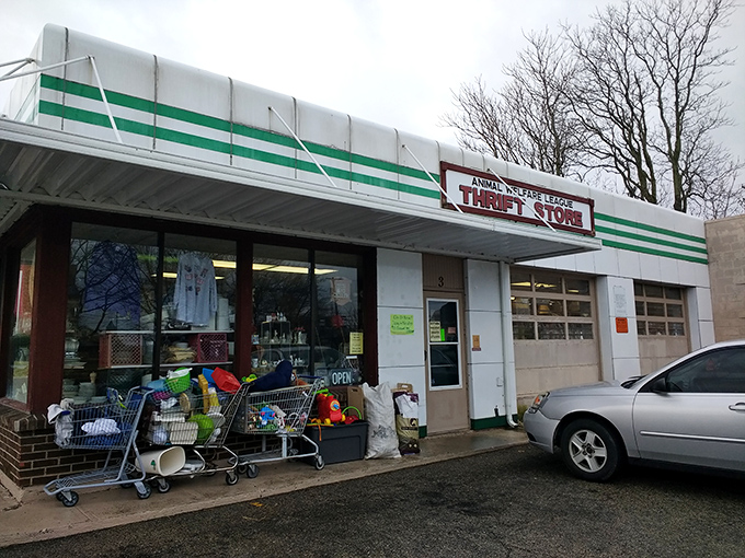 This unassuming former gas station now houses treasures for bargain hunters. From pumping gas to pumping out deals!