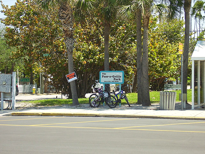 Pass-a-Grille Park sits shaded under palms where locals gather to solve the world's problems one sunset conversation at a time.