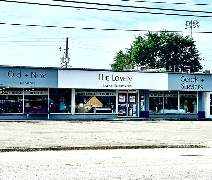 The Lovely's minimalist storefront is like a blank canvas – inside, vintage treasures paint a picture of style and history.