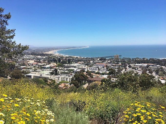 Ventura's skyline proving beach towns can have real downtowns too.