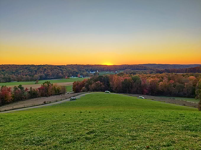 Sunset transforms ordinary farmland into extraordinary artwork. Van Gogh would've set up his easel right here.