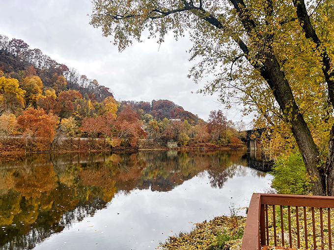 Fall foliage reflected in still waters creates nature's perfect mirror image—no filter needed, though thousands will be applied anyway.