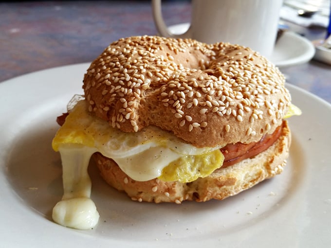 The humble bagel sandwich – where melty cheese, a perfectly fried egg, and Canadian bacon create a handheld masterpiece worthy of reverence.