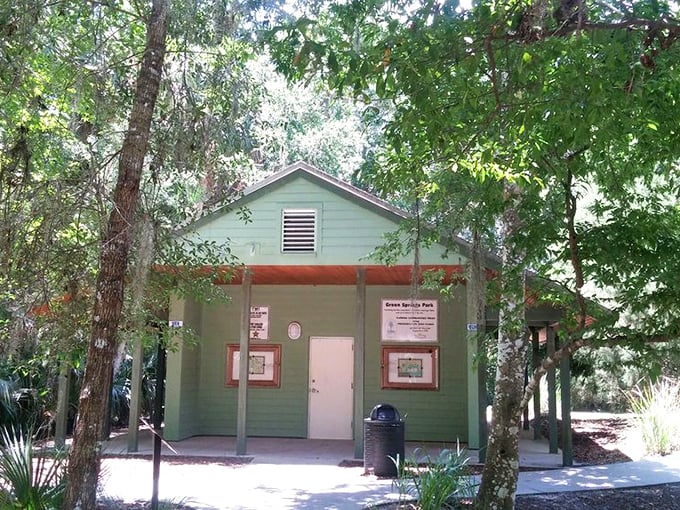 Modern conveniences in a natural setting, proving civilization and wilderness can coexist peacefully.