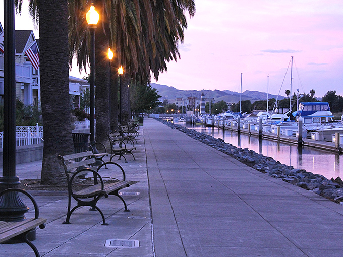 As twilight embraces the marina, these benches offer front-row seats to nature's nightly watercolor show—no tickets required. 