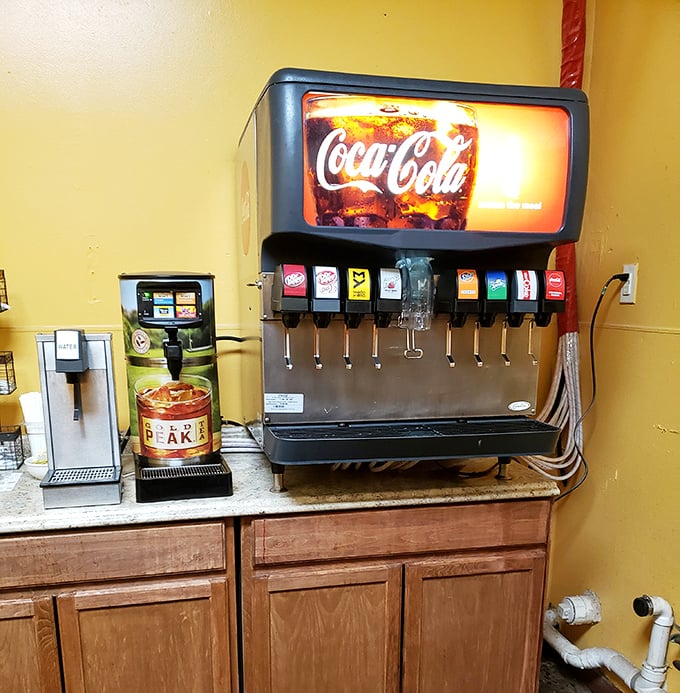 The self-serve drink station – where free refills and endless ice make you feel like you've won a small lottery. The unsung hero of any great casual dining experience.