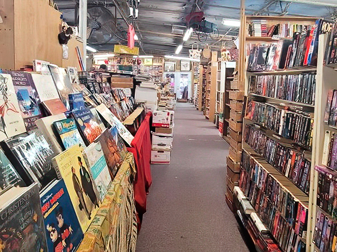 The book section: where dog-eared paperbacks and forgotten bestsellers get their second chance at literary love.