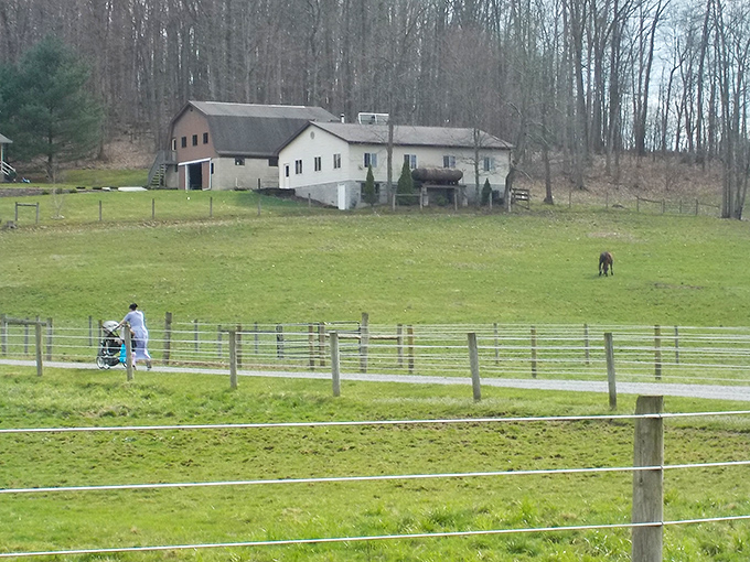 Even the farmhouses here have a storybook quality – this pastoral scene could be from any century if not for the subtle hints of modernity.