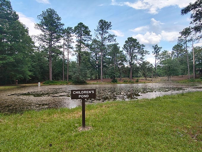 Children's Pond offers the perfect introduction to nature for little explorers, proving that some of life's biggest wonders come in small packages.