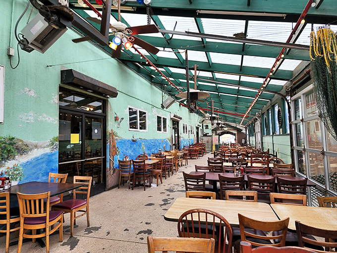 The covered patio offers ocean breezes without the sunburn. Those sea-themed murals aren't just decoration; they're previews of coming attractions on your plate.