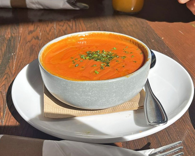This tomato soup isn't just lunch—it's a warm hug in a bowl, the kind that makes rainy days something to look forward to.