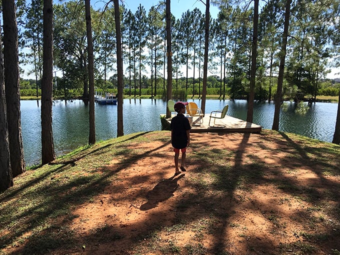 This serene lakeside spot offers the kind of peaceful retreat that makes you want to throw your phone in the water—in a good way.