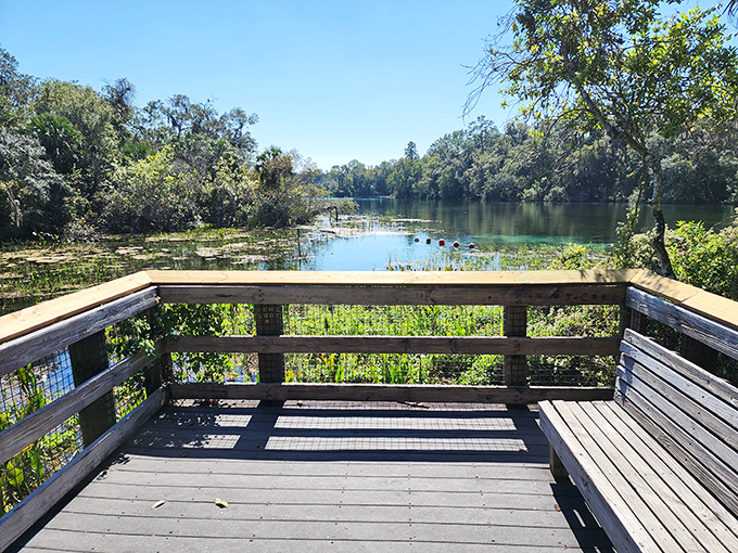 This viewing deck offers front-row seats to Mother Nature's greatest show: "Florida Before Humans Messed With It." Standing ovations guaranteed.