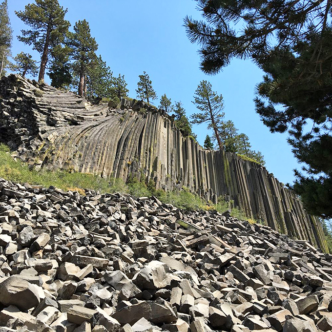 Devils Postpile's hexagonal columns prove that nature invented perfect geometry long before any textbook.