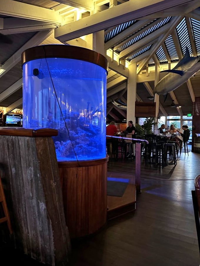 The blue glow of the aquarium transforms ordinary dining into underwater fantasy. Just don't make eye contact with your potential entrées.