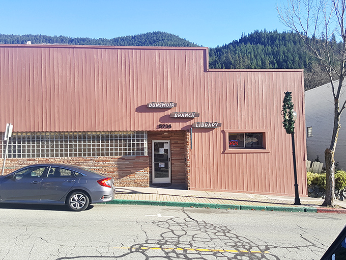 The Dunsmuir Branch Library may be modest in size, but it's mighty in community impact. Books with a side of mountain views.