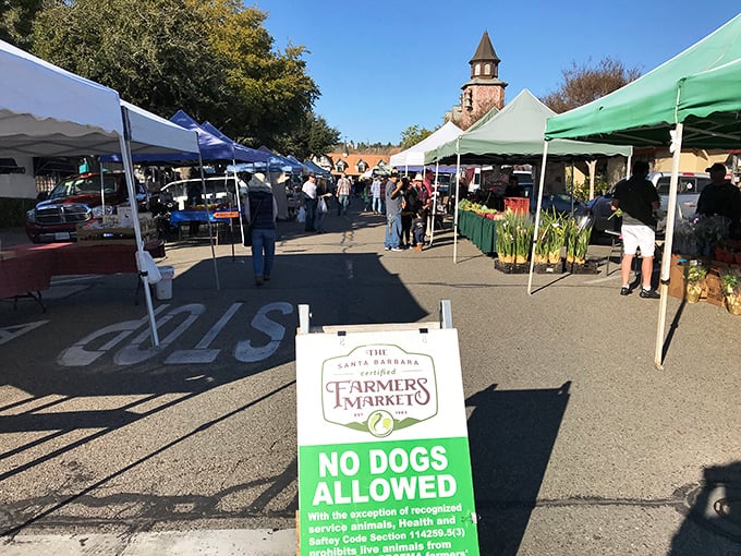 The farmers market adds California's agricultural bounty to Solvang's Danish delights. Fresh produce and pastries – name a more perfect pairing.