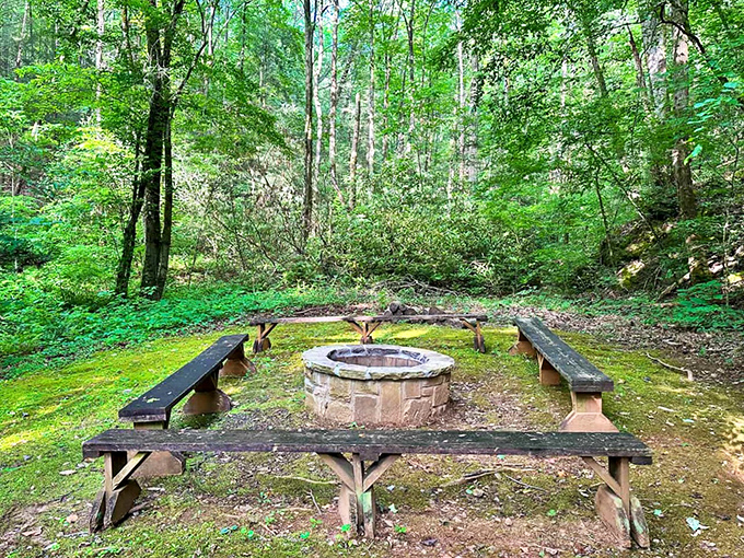 The original social network: people gathering around fire. This stone fire pit surrounded by benches has hosted countless s'mores and tall tales.