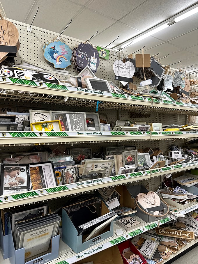 The home décor section transforms houses into homes with wall art and frames that say "I have sophisticated taste" without saying "I'm financially irresponsible."