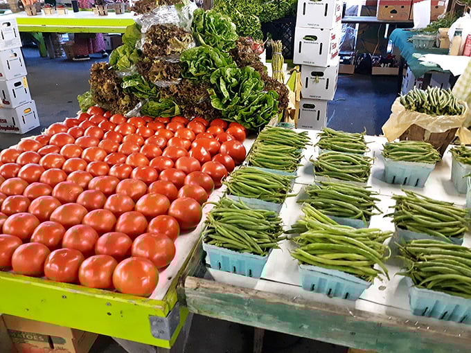 Tomatoes lined up like little red soldiers next to green beans standing at attention – fresh produce reporting for dinner duty.