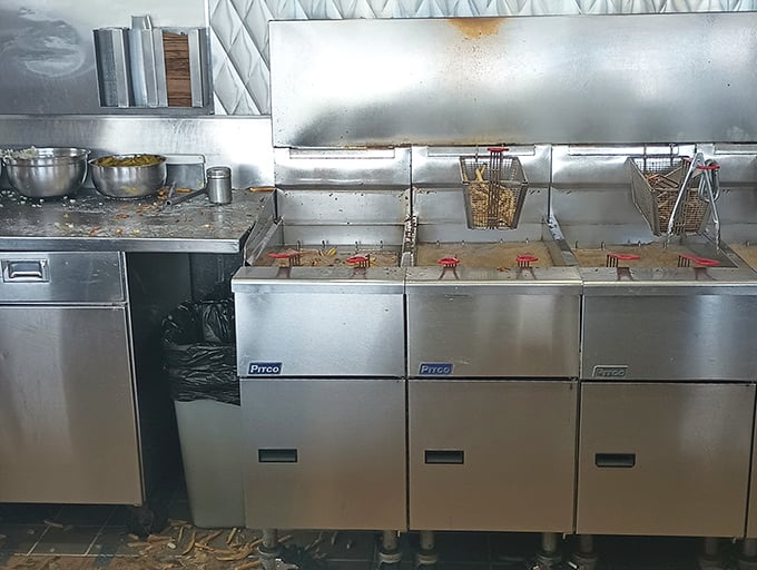 The fryer that launched a thousand cravings – where potatoes go to achieve their destiny.
