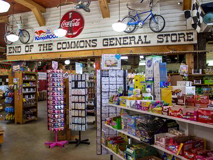 Bicycles suspended from the ceiling, vintage signs on the walls—this isn't decoration, it's a museum where you can touch everything.
