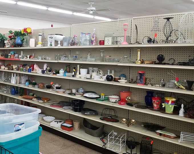 The housewares section reveals America's collective kitchen drawer contents—mismatched treasures that somehow look more interesting than their department store counterparts.