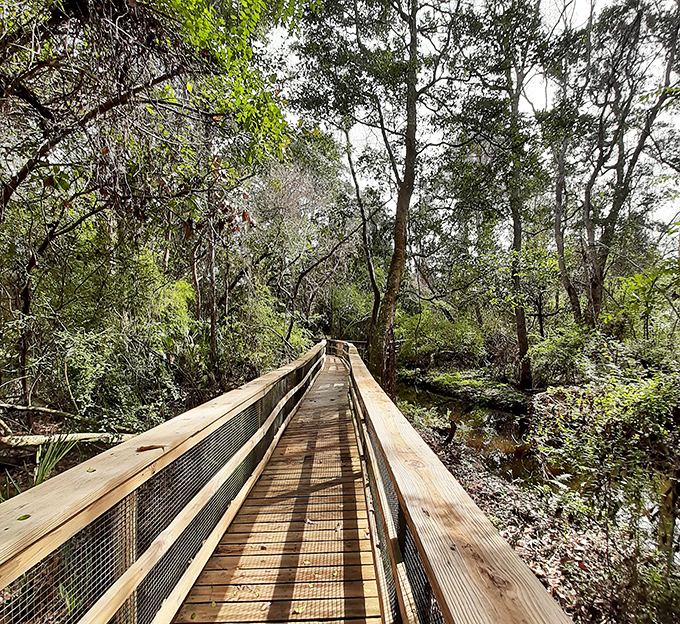 Glenwood Park's nature trail boardwalk invites exploration without the expedition prices of more touristy destinations.