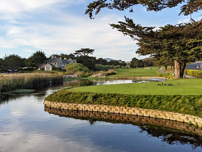 Half Moon Bay's golf course – where water hazards come with scenic views and lost balls seem like a fair trade for the scenery.
