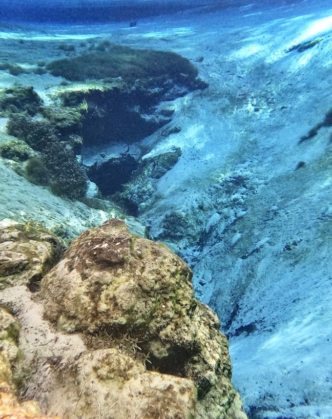 The spring vent reveals its mysterious depths. Like peering into another dimension, this underwater cave system pumps life into the entire ecosystem.
