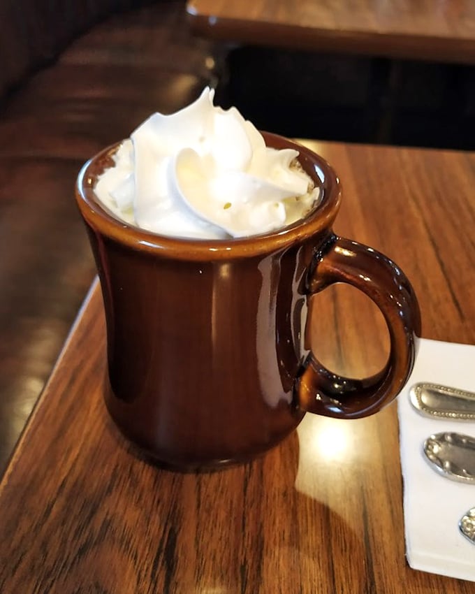 Hot chocolate served in a sturdy brown mug with a cloud of whipped cream—proof that sometimes the simplest pleasures are the most satisfying.