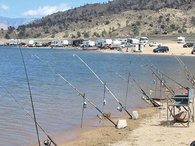 Fishing poles standing at attention like eager sentinels—patiently waiting for the next retirement hobby to evolve into passion.