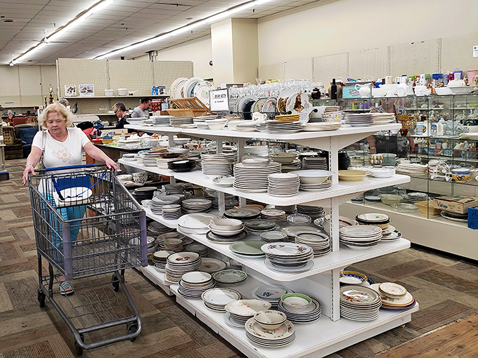 Dish department dreams! Pyrex patterns discontinued before cell phones existed sit alongside plates perfect for completing your grandmother's set.