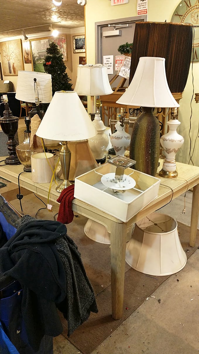 The lamp section illuminates possibilities for home décor, with styles spanning decades and personalities—from elegant to eccentric and everything between.