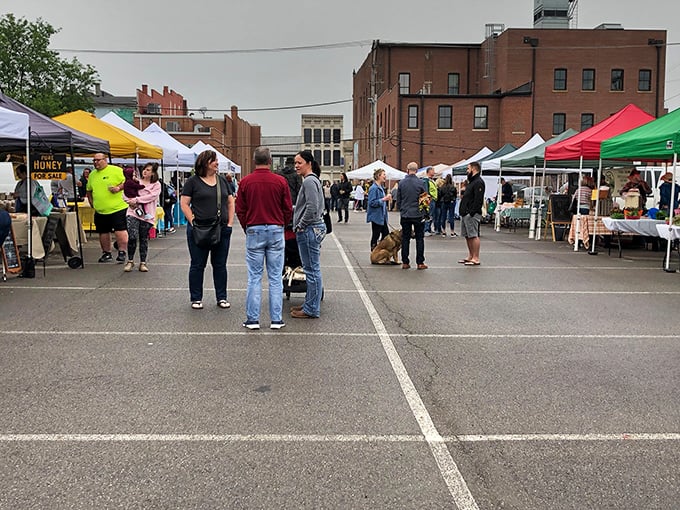 The Lancaster Farmers Market proves that the best shopping doesn't require escalators or food courts – just passionate local vendors and the freshest seasonal bounty.