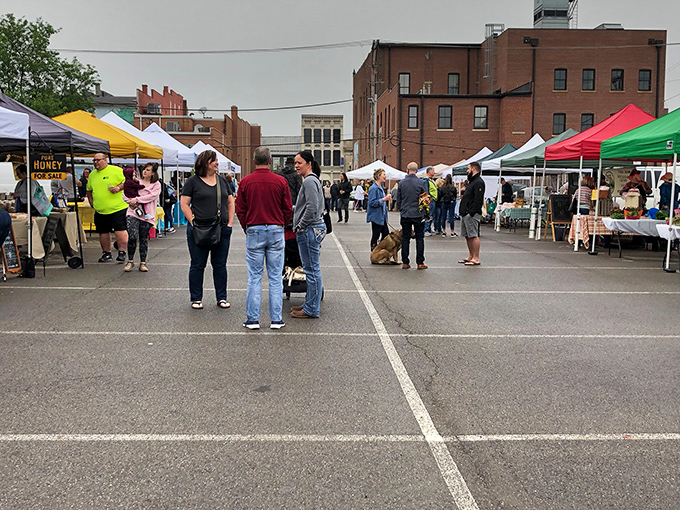 The Lancaster Farmers Market proves that the best shopping doesn't require escalators or food courts – just passionate local vendors and the freshest seasonal bounty.