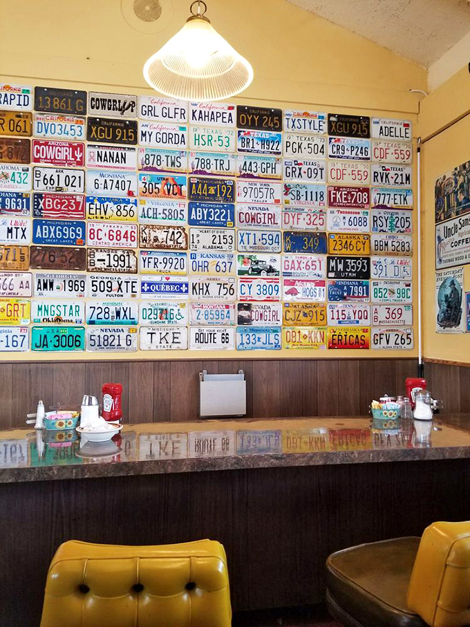 License plates from across the country create a patchwork of American travels. Each one represents someone who once passed through—just like you.