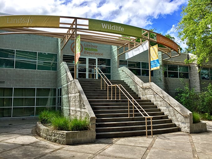 Learning and wildlife meet architecture in this modern facility – proof that appreciating nature doesn't always mean roughing it.