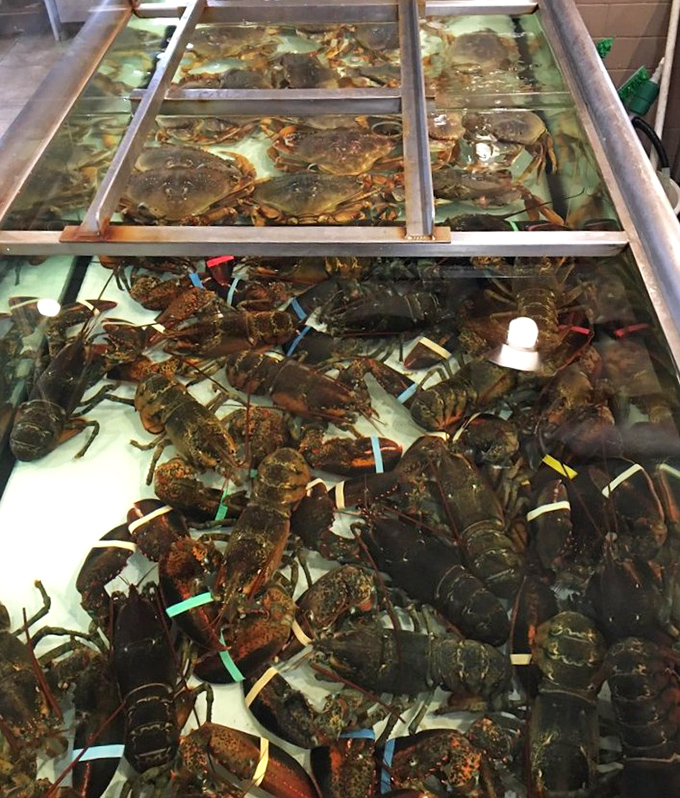 "Choose your fighter"—live lobsters and crabs await their destiny. These crustaceans are so fresh they're practically checking their watches.
