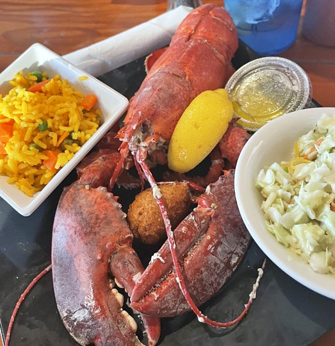 This lobster isn't just dinner—it's a celebration on a plate. The kind of meal that makes you want to propose… to the chef.