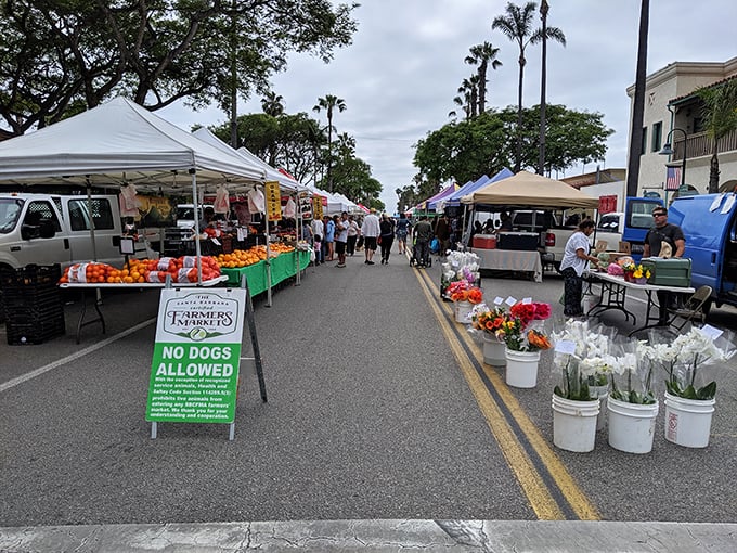 The farmers market transforms ordinary streets into a produce paradise. No wonder California's cuisine is legendary—just look at those ingredients!