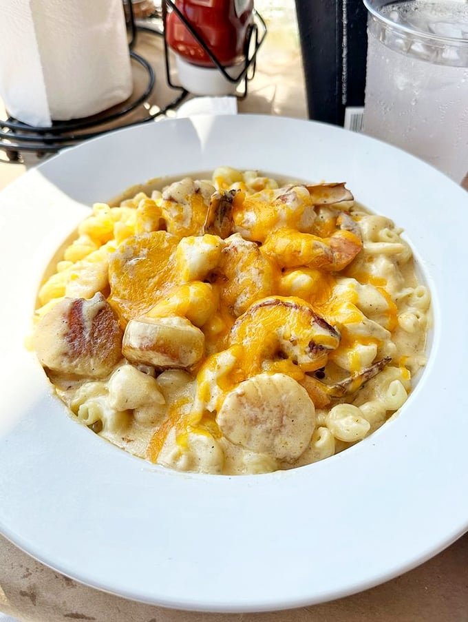 Seafood mac and cheese—where comfort food gets dressed up for a night on the bay. Childhood favorite meets grown-up indulgence.