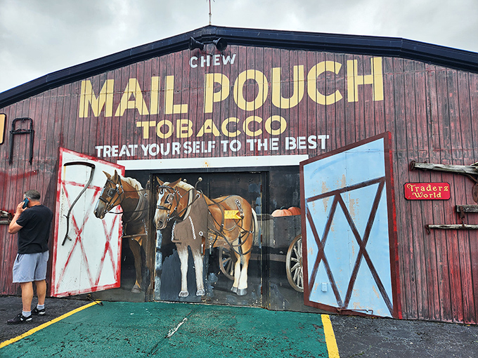 The Mail Pouch Tobacco barn complete with life-sized horse display – a slice of Americana that feels straight out of a Norman Rockwell painting.