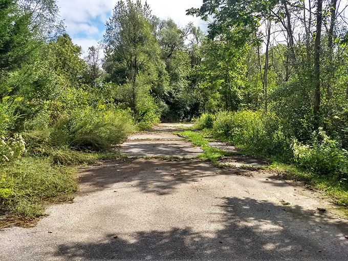 Nature reclaiming what was once paved. This trail demonstrates that even concrete is no match for persistent greenery.